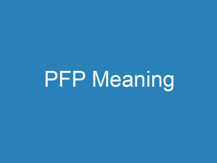 PFP Meaning