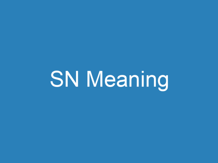 SN Meaning